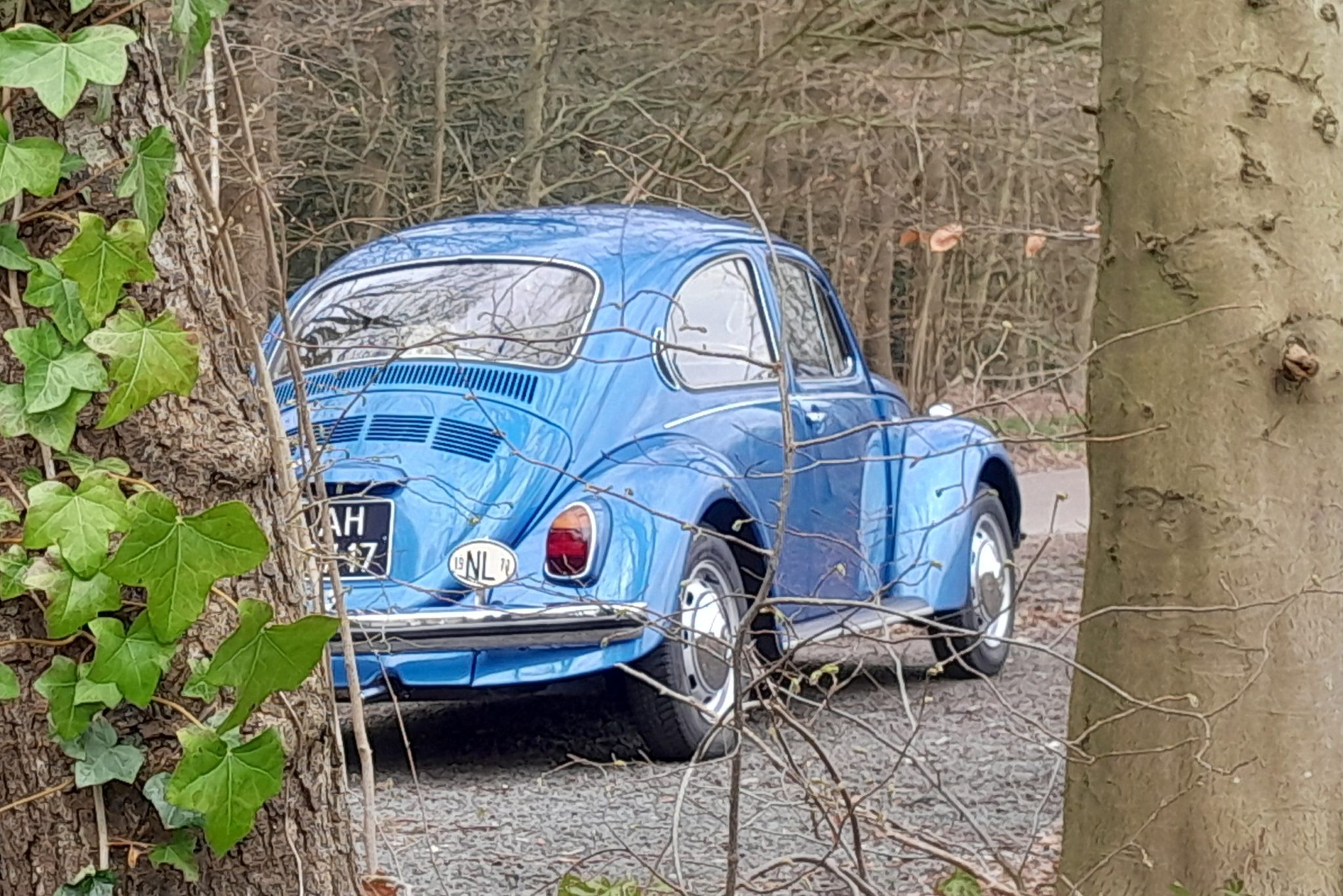 OLDTIMER-DATEI IN DEN NIEDERLANDEN IST ERHEBLICH WACHSTUM, VW AM ...